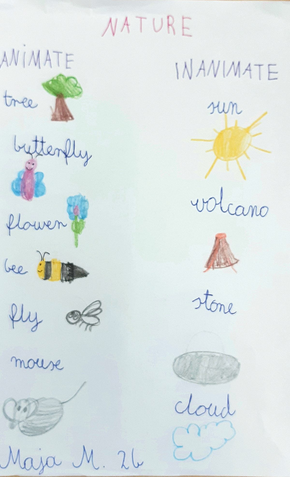 Animate & Inanimate Nature – SP162 w Krakowie